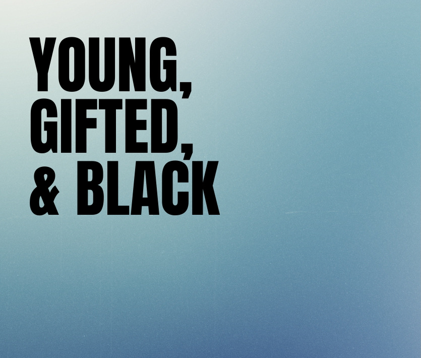 Institute for the Development of African American Youth