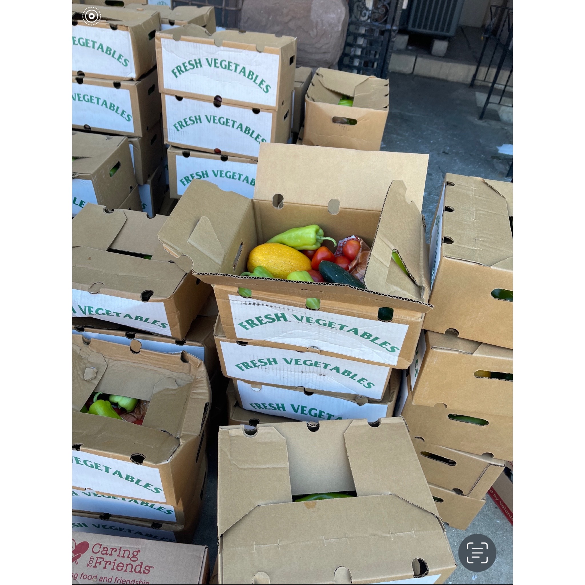 Institute for the Development of African American Youth