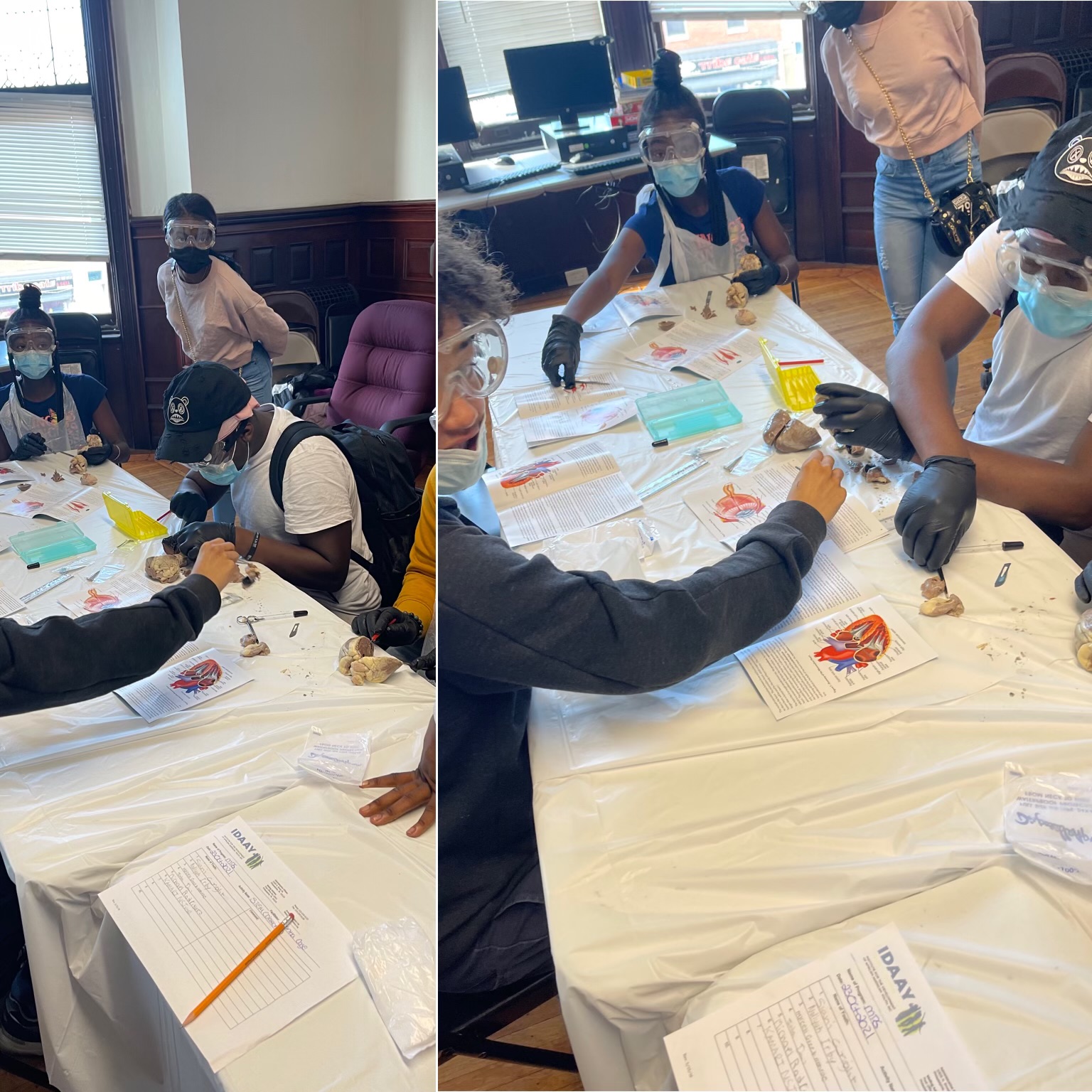 Institute for the Development of African American Youth